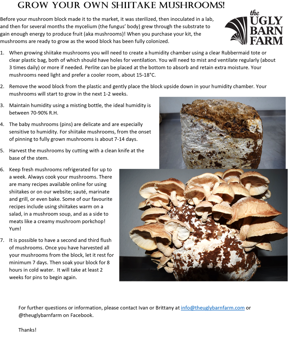 Shiitake Grow Block – The Ugly Barn Farm